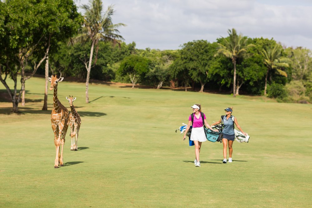 About Golf — Vipingo Ridge
