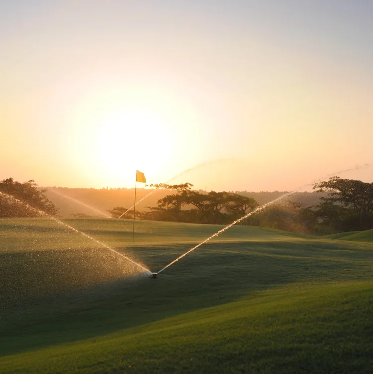 About Vipingo Ridge — Vipingo Ridge