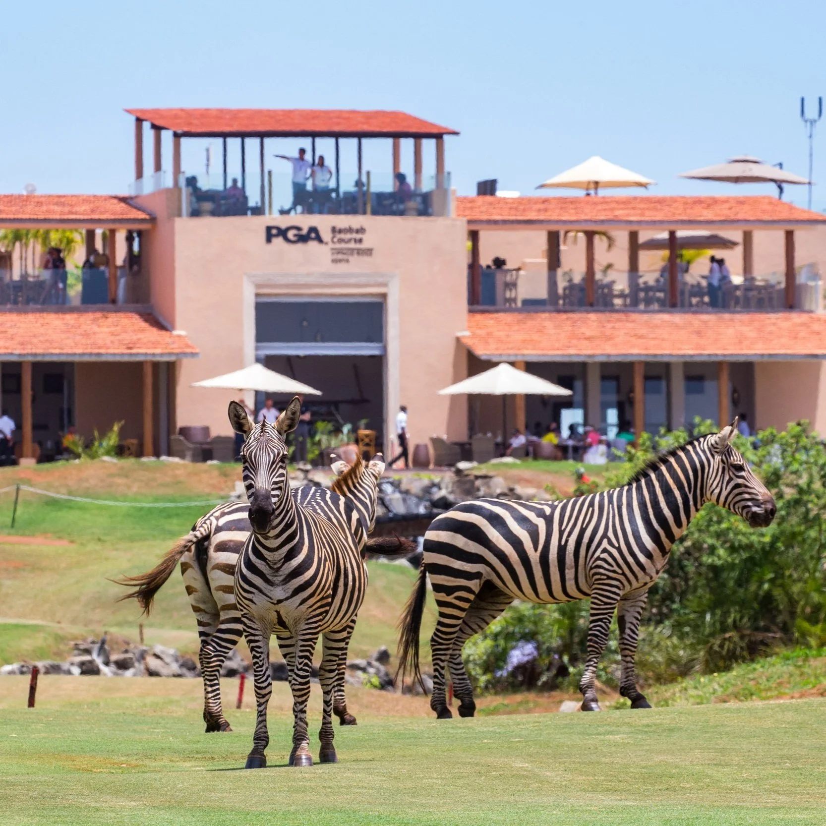 The Wildlife Sanctuary — Vipingo Ridge