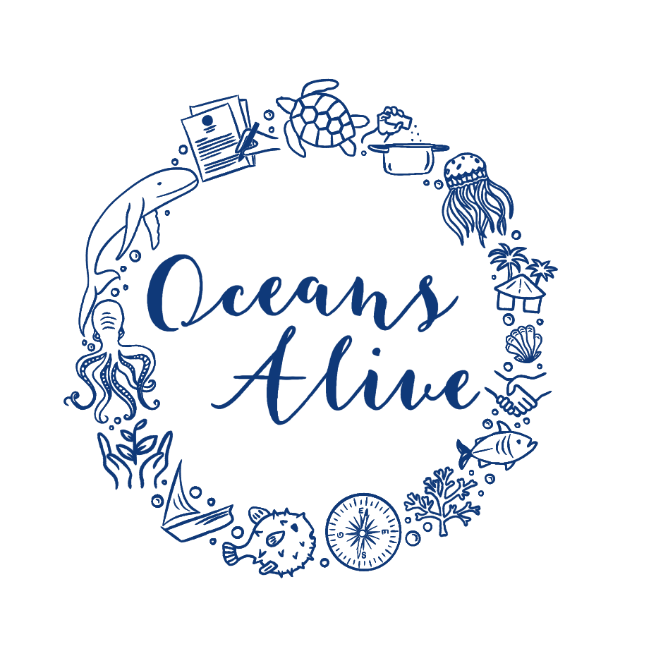 Ripples of change: the fantastic work of Oceans Alive — Vipingo Ridge