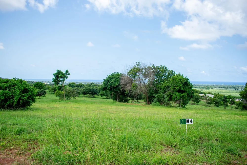 Plots for sale — Vipingo Ridge