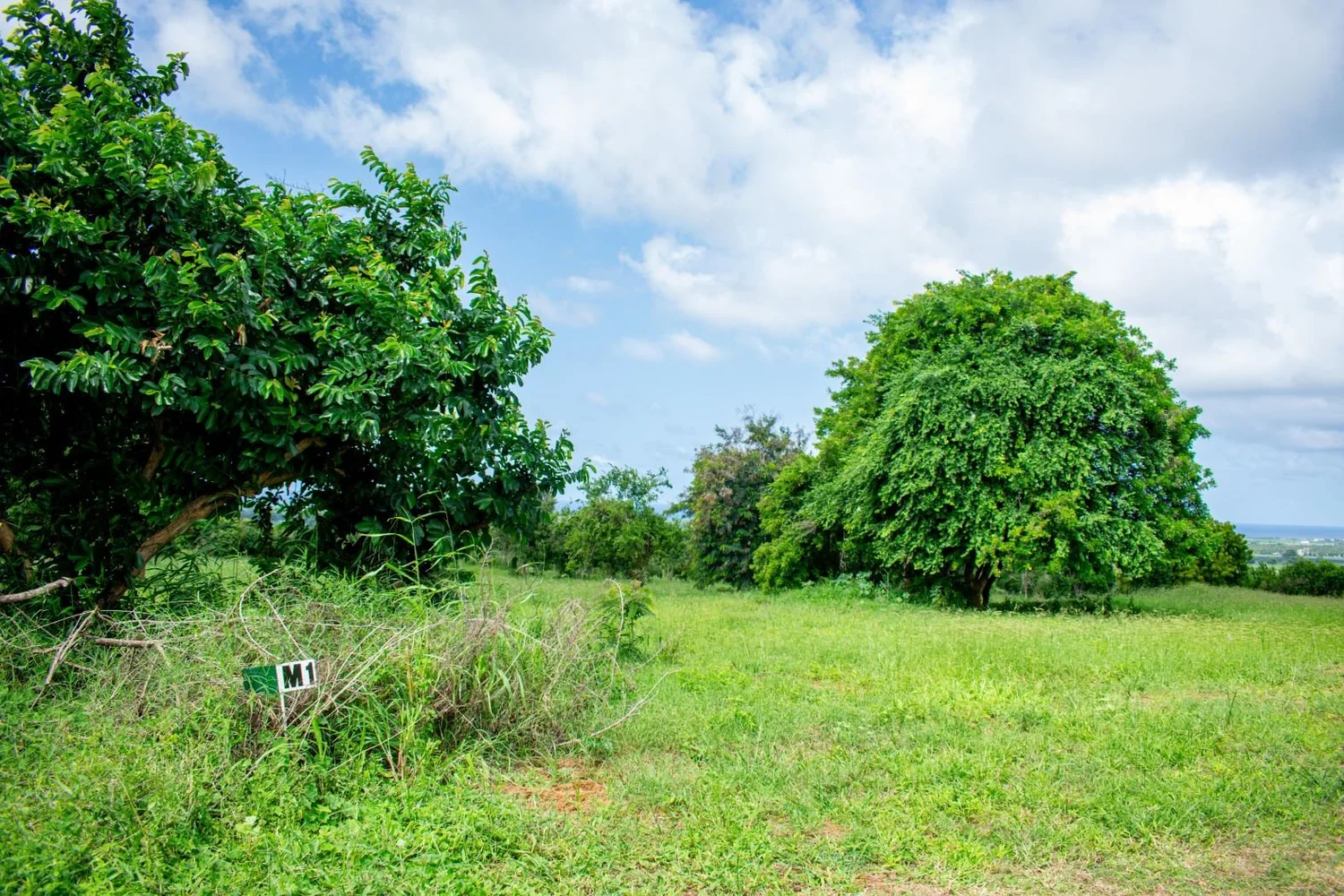 Plots for sale — Vipingo Ridge