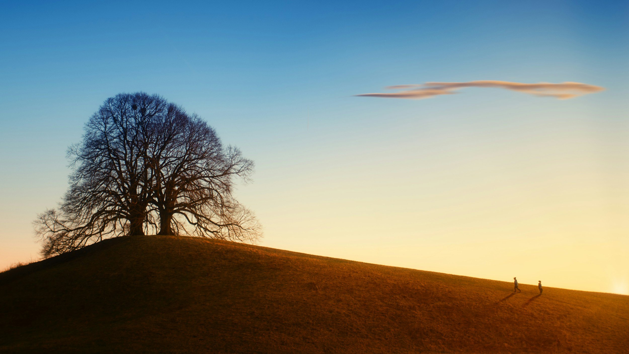 Evidence Based Treatments for OCD: A Simple Guide — Dr Monique Steen ...