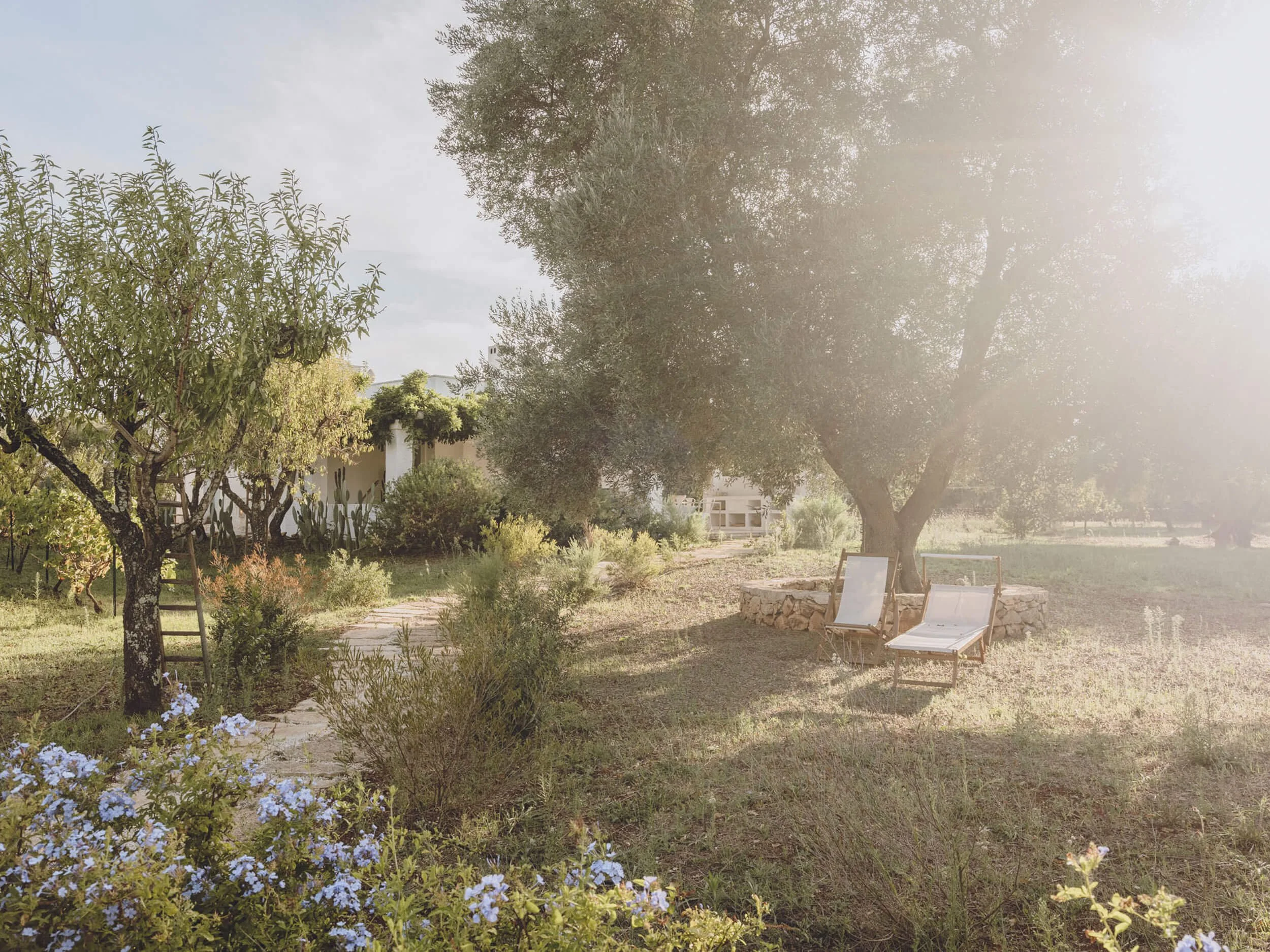 Puglia, Italy — Treehouse Group