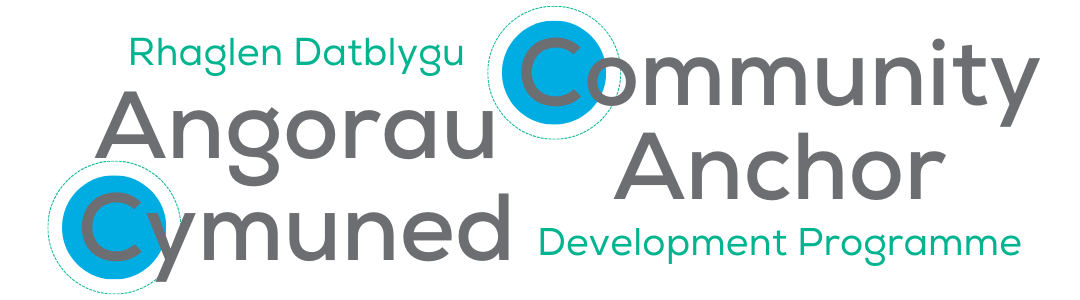 Community Anchor Development Programme — BCT