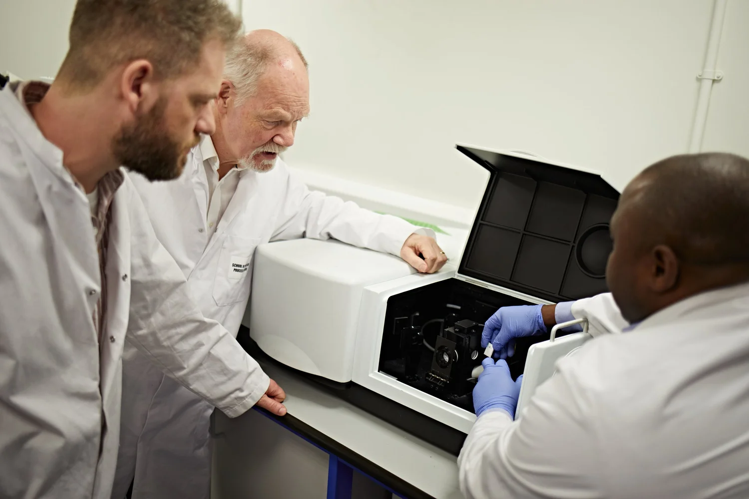 Images & Video — Pirta®