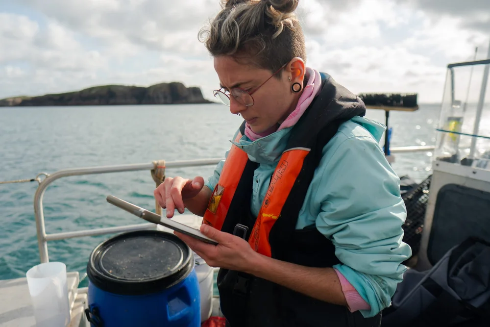 About Us — Câr-y-Môr