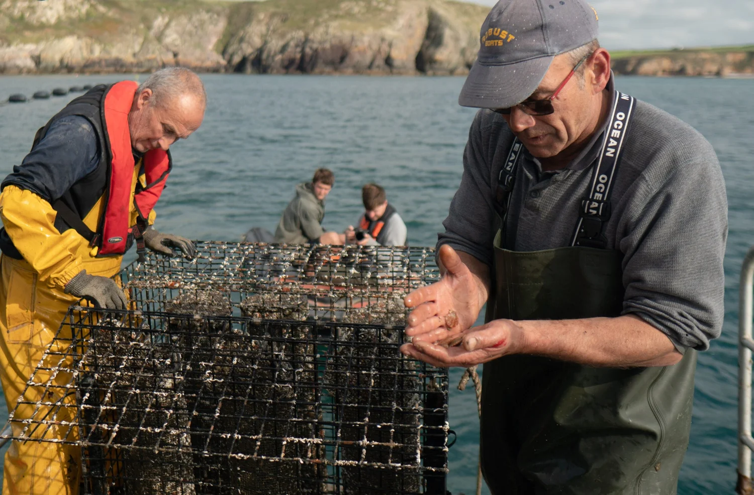 About Us — Câr-y-Môr