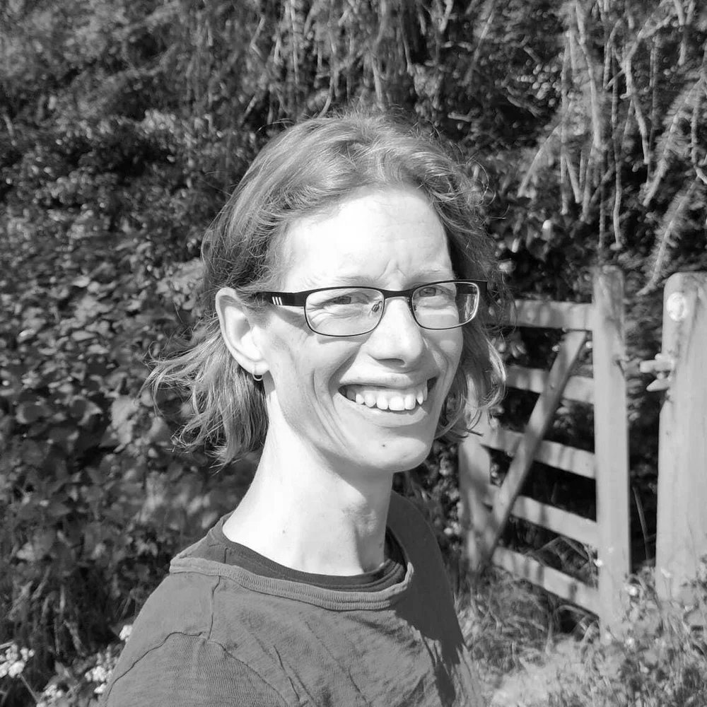 About ecollective Carbon Consultants | ecollective