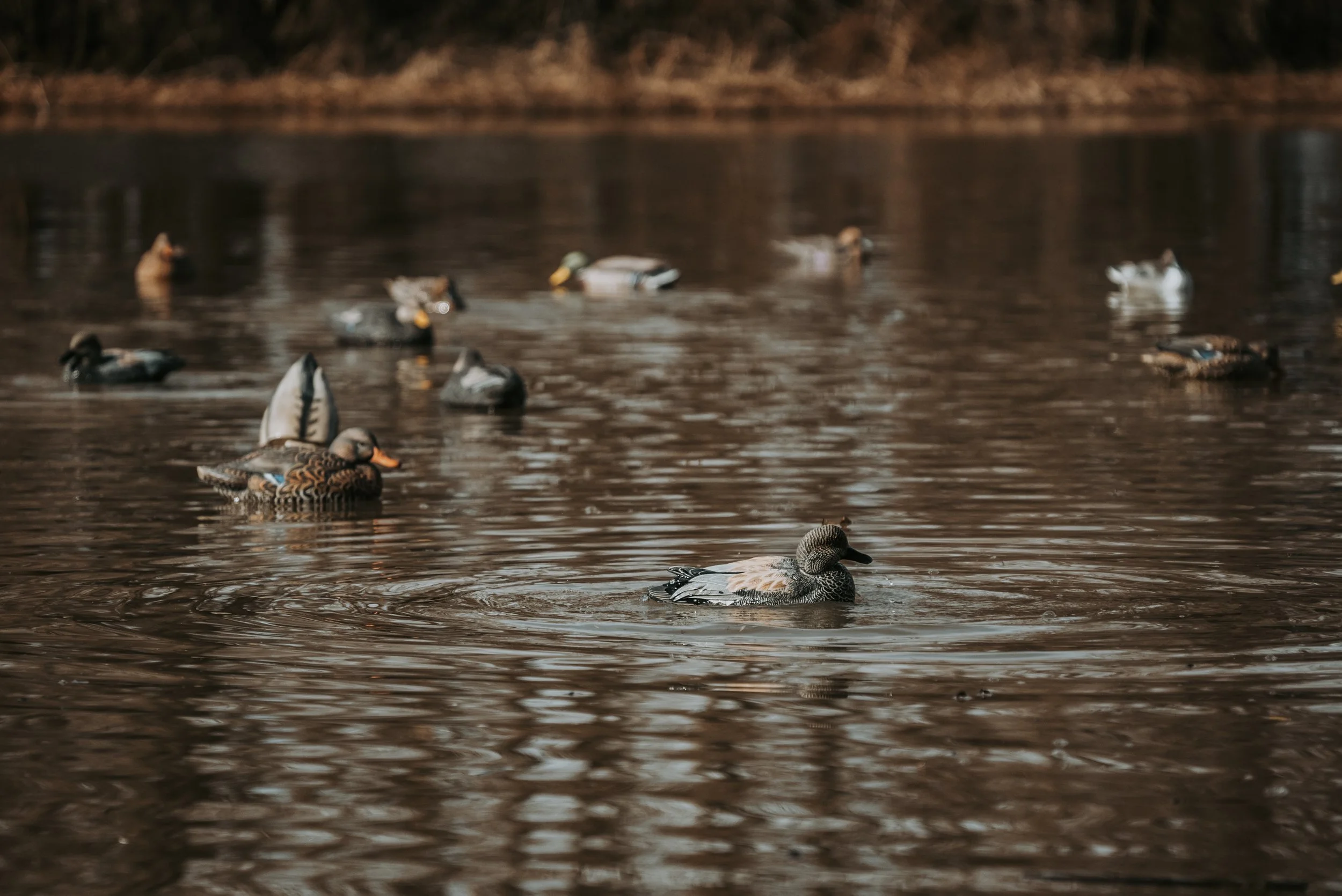 Store 1 — Perfect Limit Outdoors