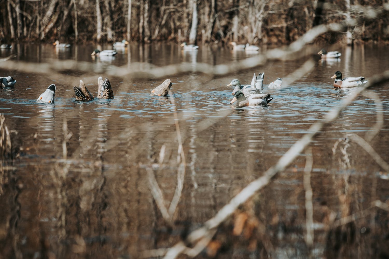 Testimonials — Perfect Limit Outdoors