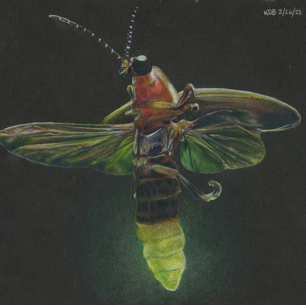 How To Draw Lightning Bugs