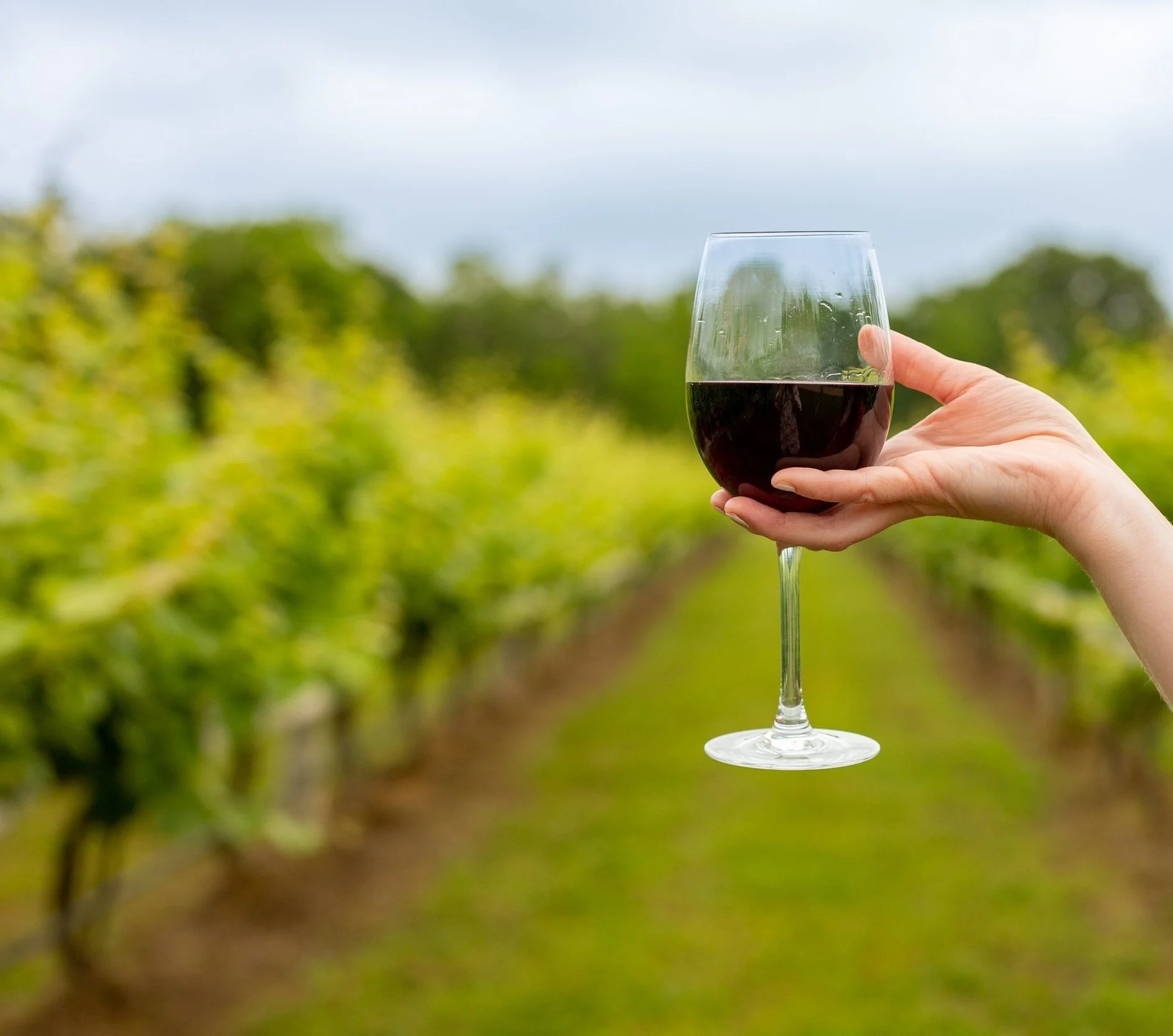 Upper Shirley Vineyards - Richmond, Virginia Winery