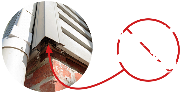 KritterCaps.com - Pest Exclusion for Vinyl Siding