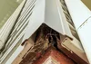 KritterCaps.com - Pest Exclusion for Vinyl Siding