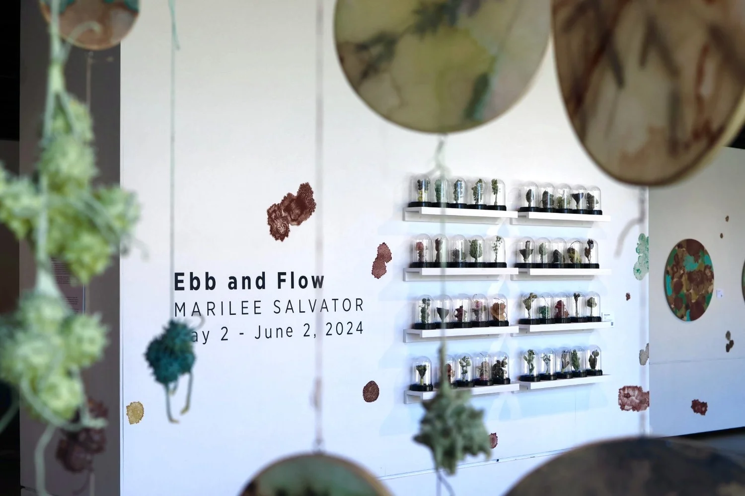 Ebb and Flow is a solo exhibition by Marilee Salvator, on view at ...