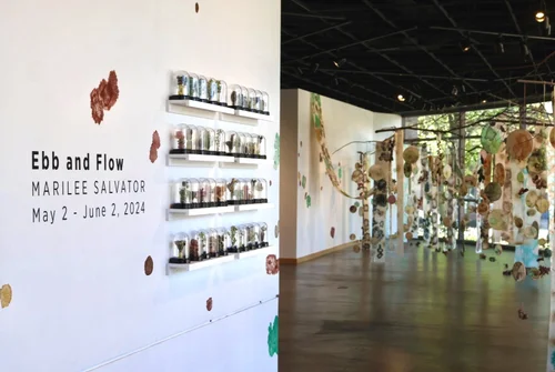 Ebb and Flow is a solo exhibition by Marilee Salvator, on view at ...