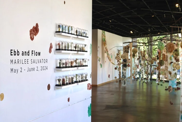 Ebb and Flow is a solo exhibition by Marilee Salvator, on view at ...