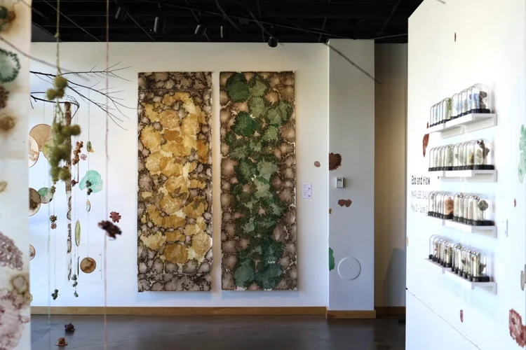 Ebb and Flow is a solo exhibition by Marilee Salvator, on view at ...