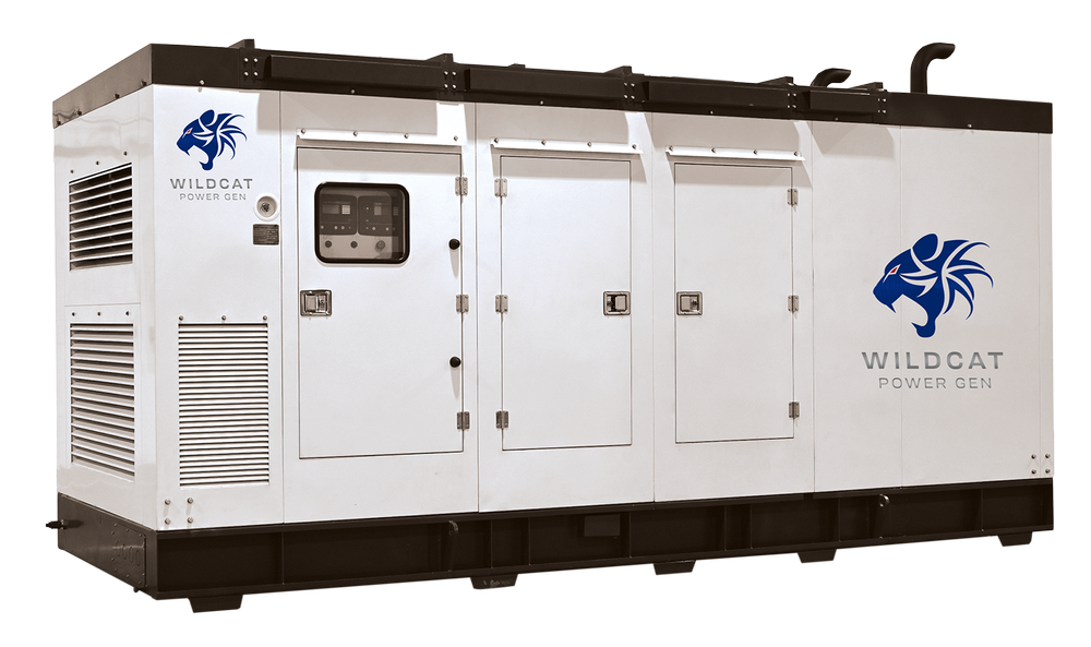Wildcat Power Pack: Redefining Redundancy in Versatile Power Solutions