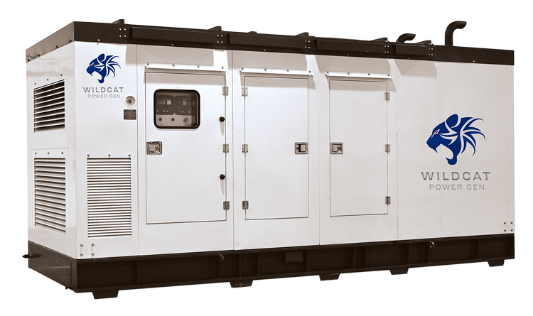 Wildcat Power Pack: Redefining Redundancy in Versatile Power Solutions