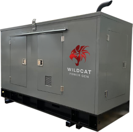 Wildcat Roughneck Generators: 30KW to 750KW Diesel, Natural Gas, and ...