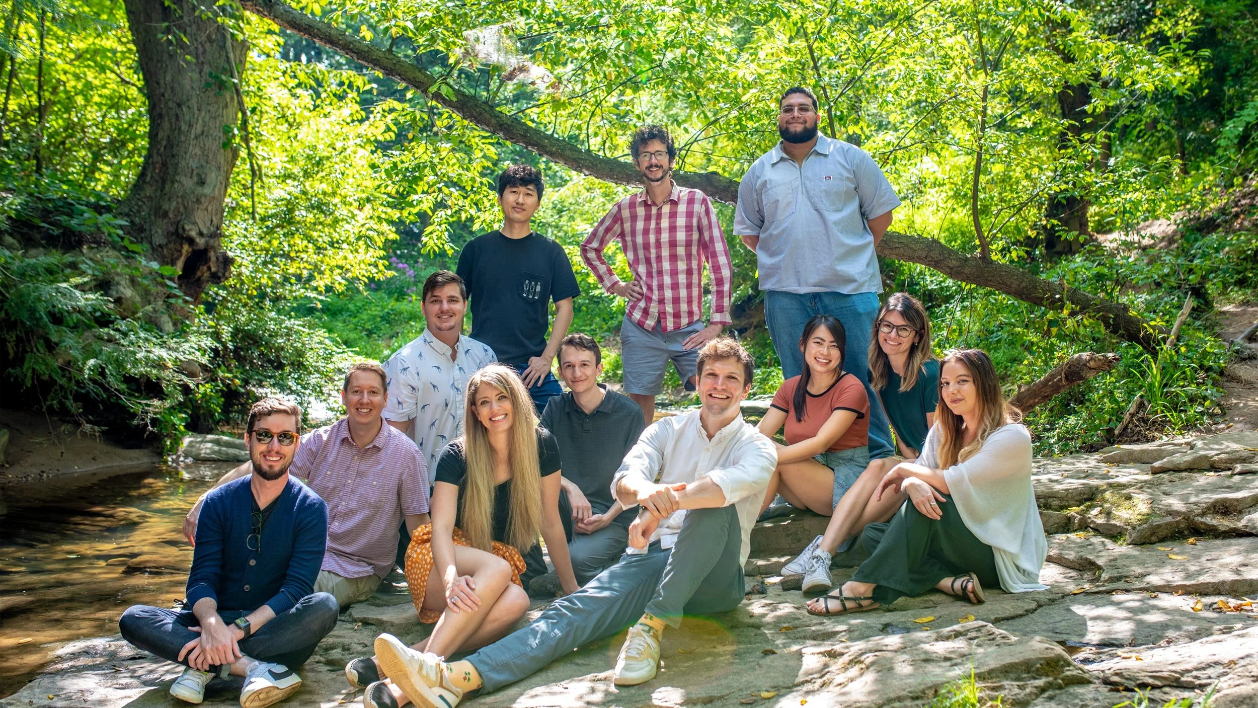 About — Dash Studio