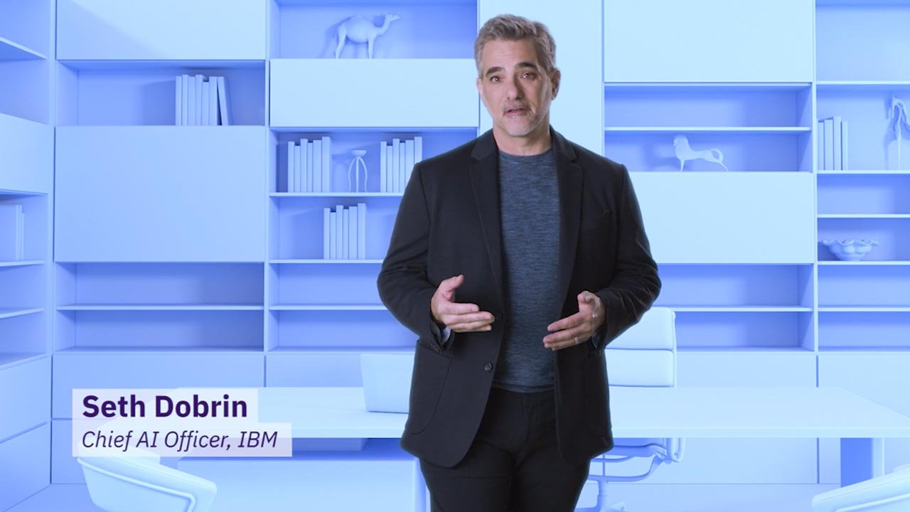 Live-action Collection — Dash Studio