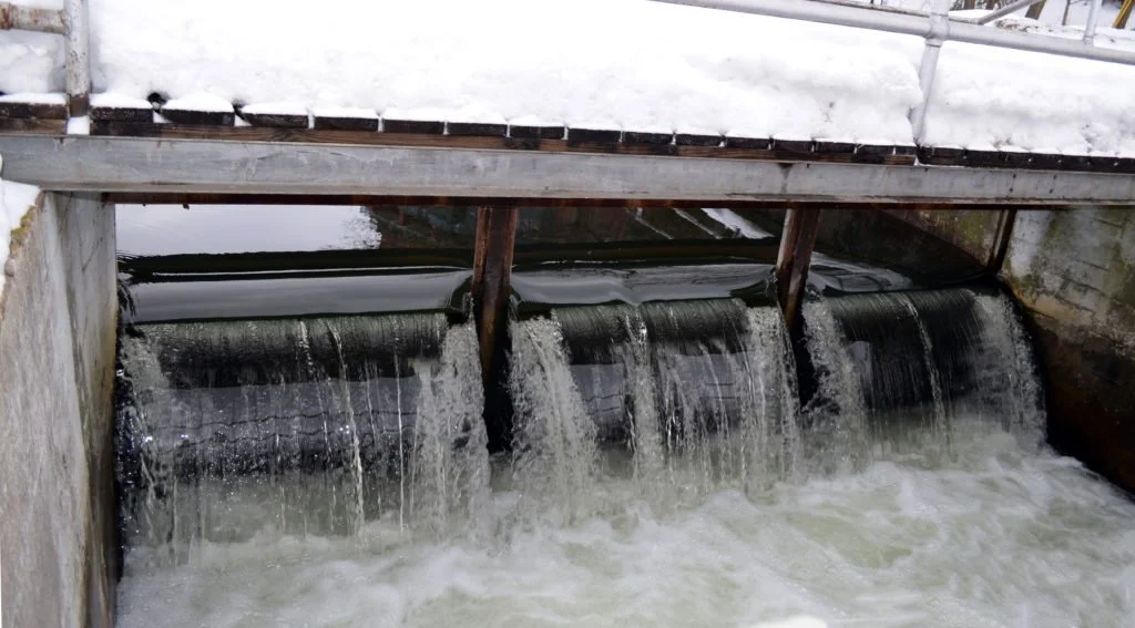 Removing dam opens 25 miles of river to fish — Healthy Lakes