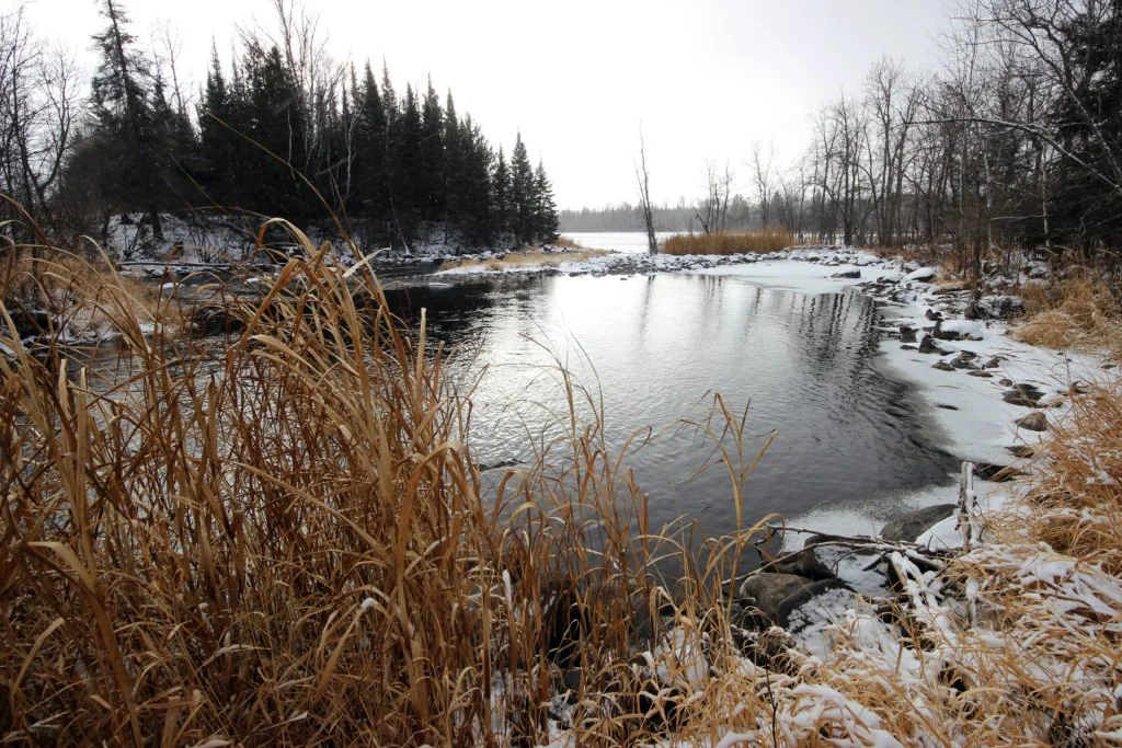 Removal of two dams in Michigan restores river, eliminates safety ...