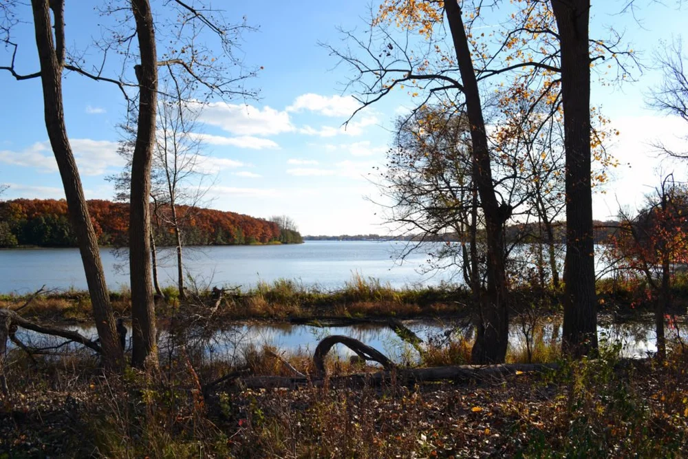 Preserving Humbug Marsh Receives Global Recognition — Healthy Lakes