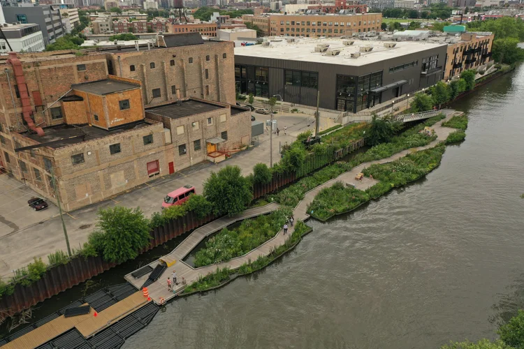 The Wild Mile: Floating Wetlands Restore Diverse Wildlife to the ...