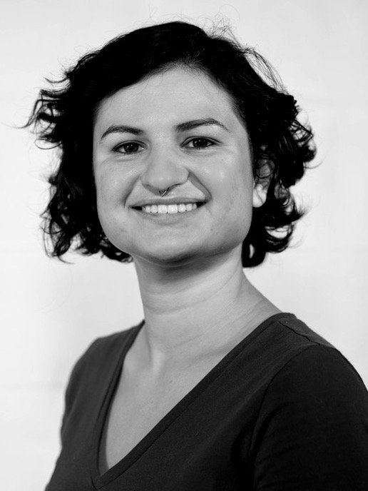 ABOUT — 1895 Films