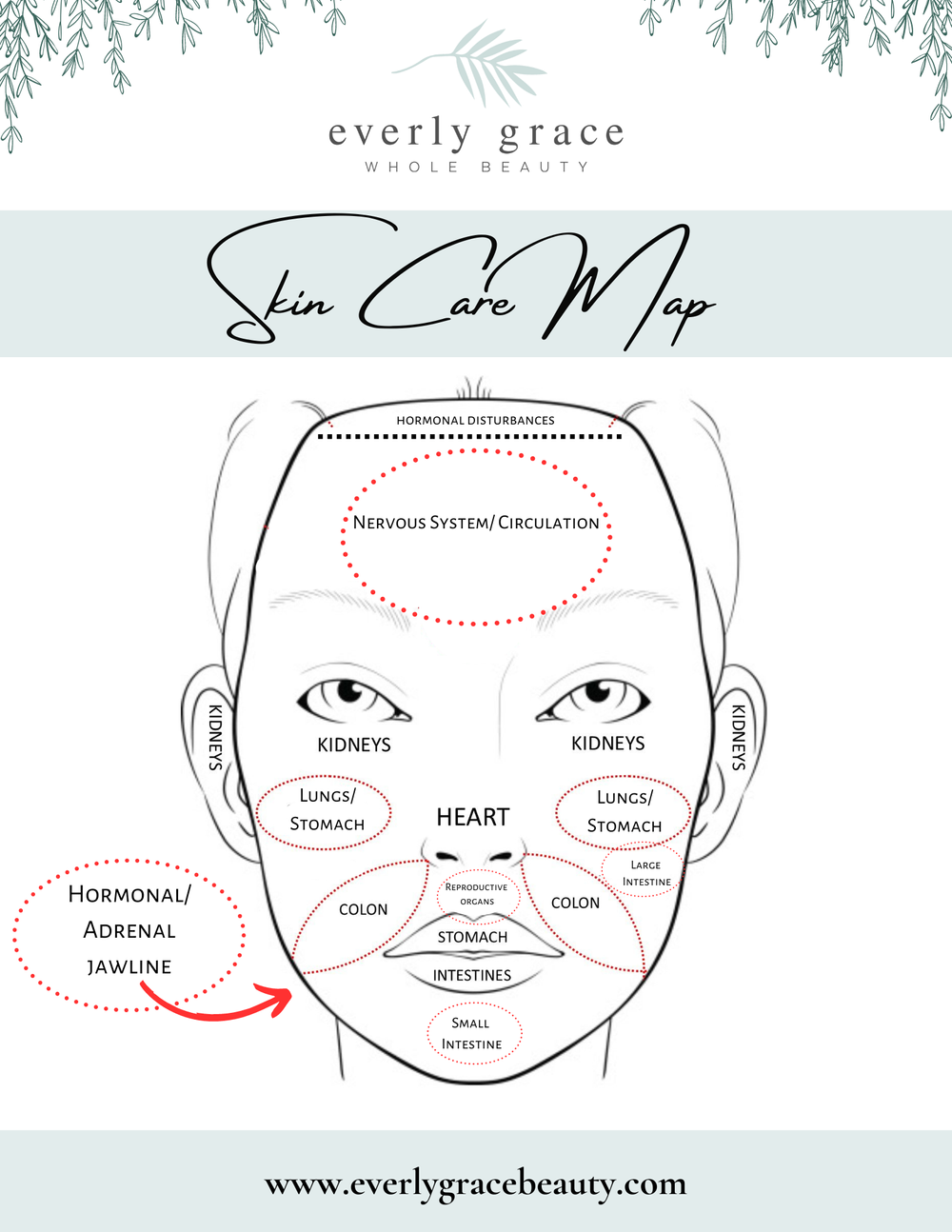 Face Mapping — Everly Grace Whole Beauty