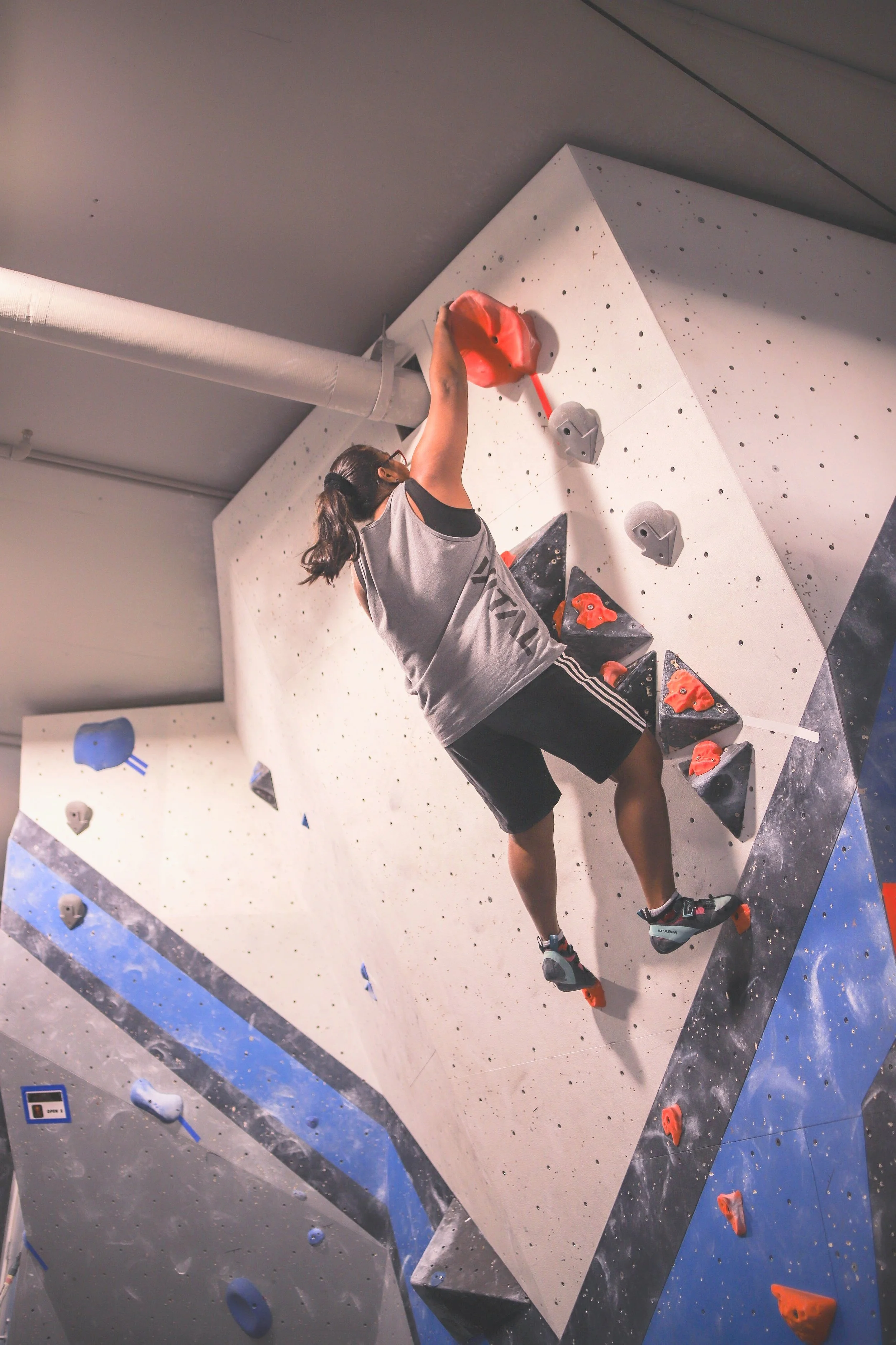Adult Team — Boulders Climbing Gym