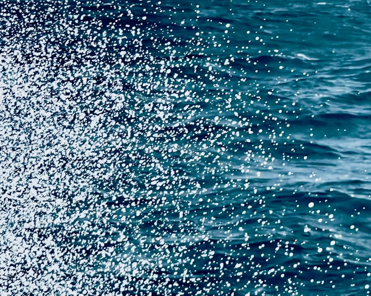 SPLASH — JAMI GOLDMAN