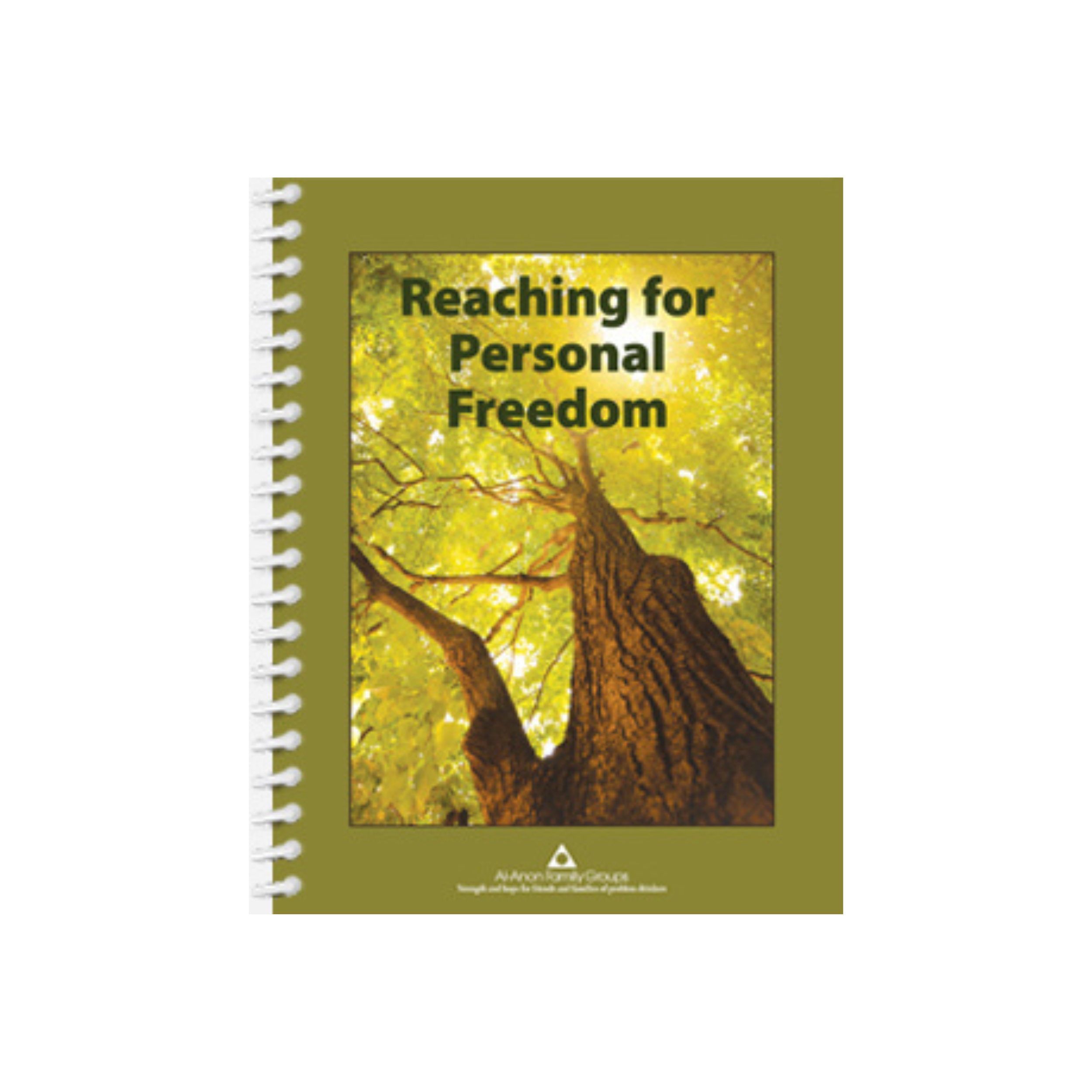P 93 Paths To Recovery Workbook Al Anon Family Services Of Middle P 93 Paths To Recovery Workbook Al Anon Family Services Of Middle