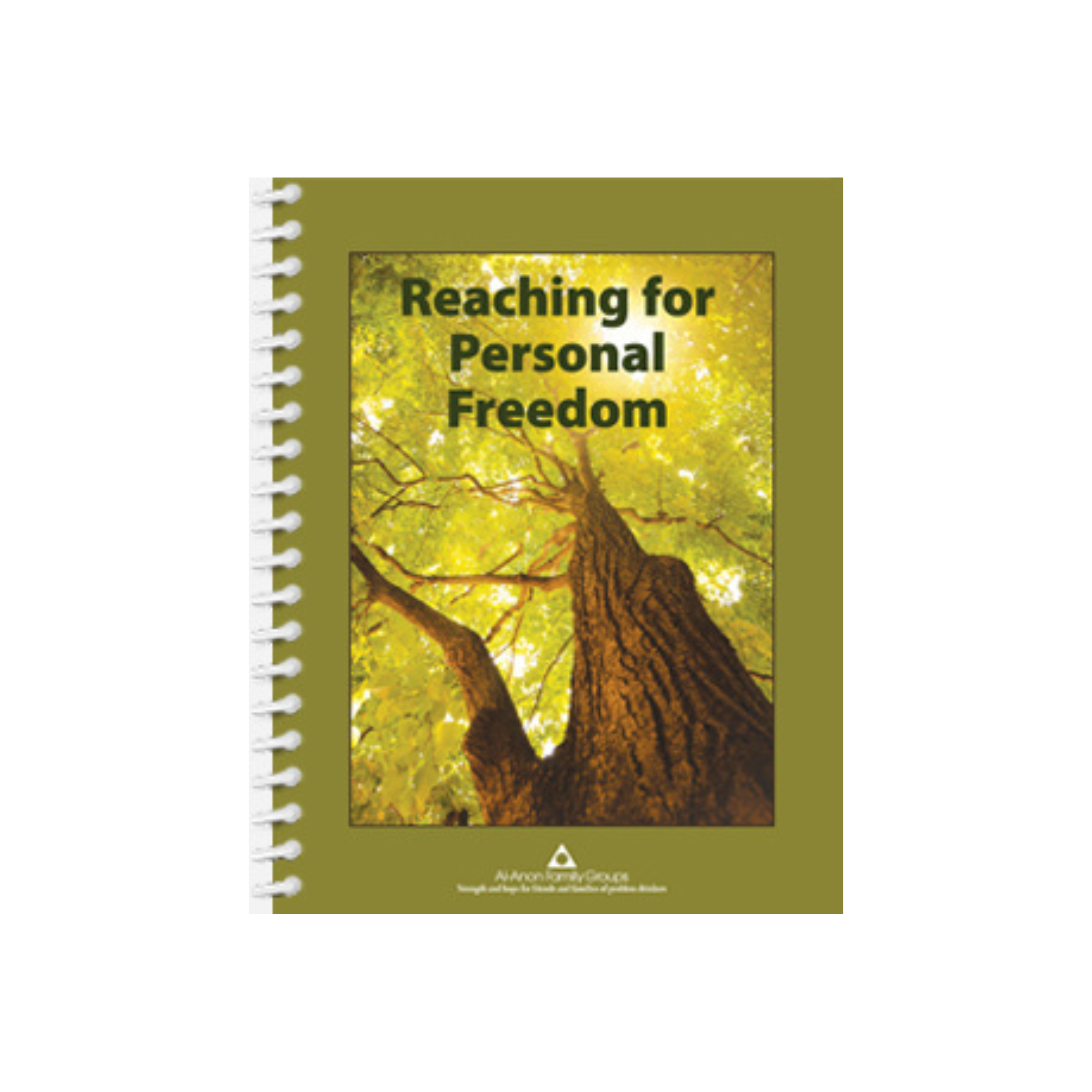 (P-93) Paths To Recovery Workbook — Al-Anon Family Services of Middle ...