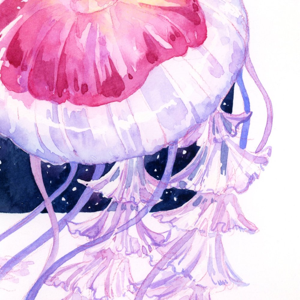 Jellyfish Watercolor