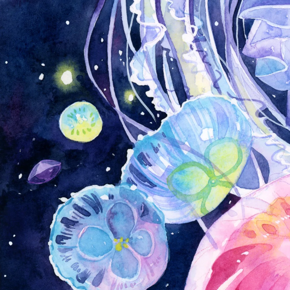 Jellyfish Watercolor