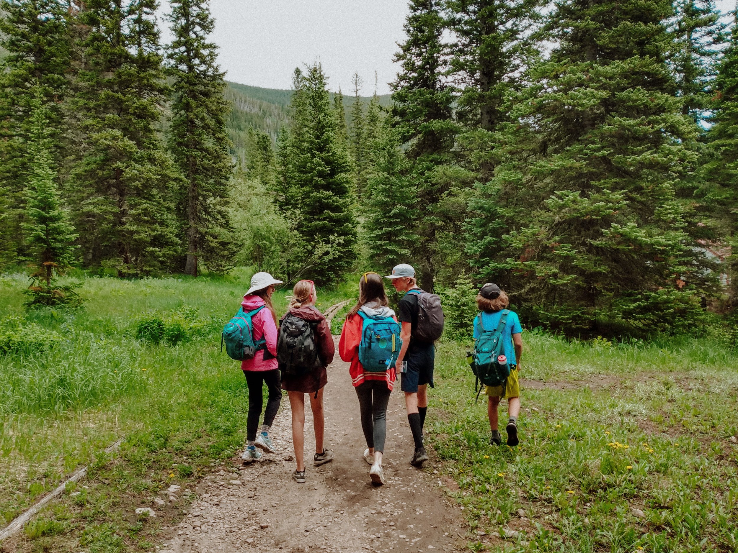Summer Nature Camps — Wild Bear Nature Center - We Are Nature