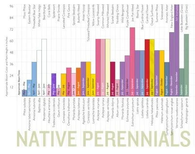 Plant Fact Sheets — The Garden Club of Yorktown