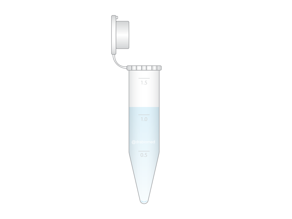 Free Illustrations — DrawBioMed