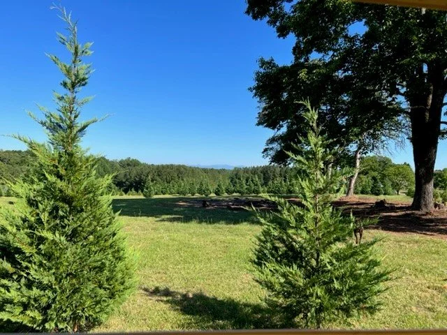 Gallery 2 — Merry Christmas Tree Farm