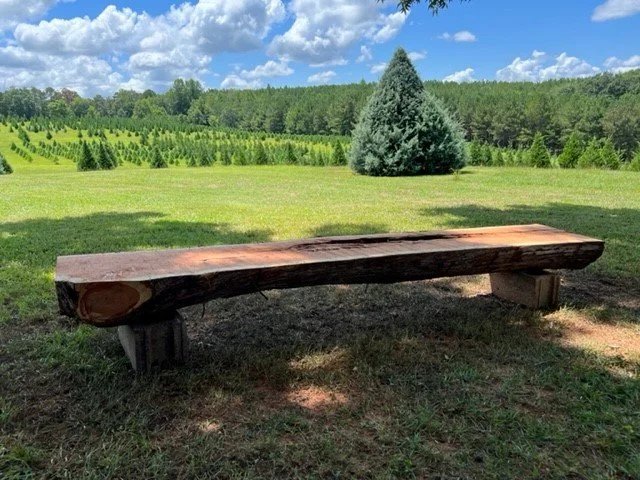 Gallery 2 — Merry Christmas Tree Farm