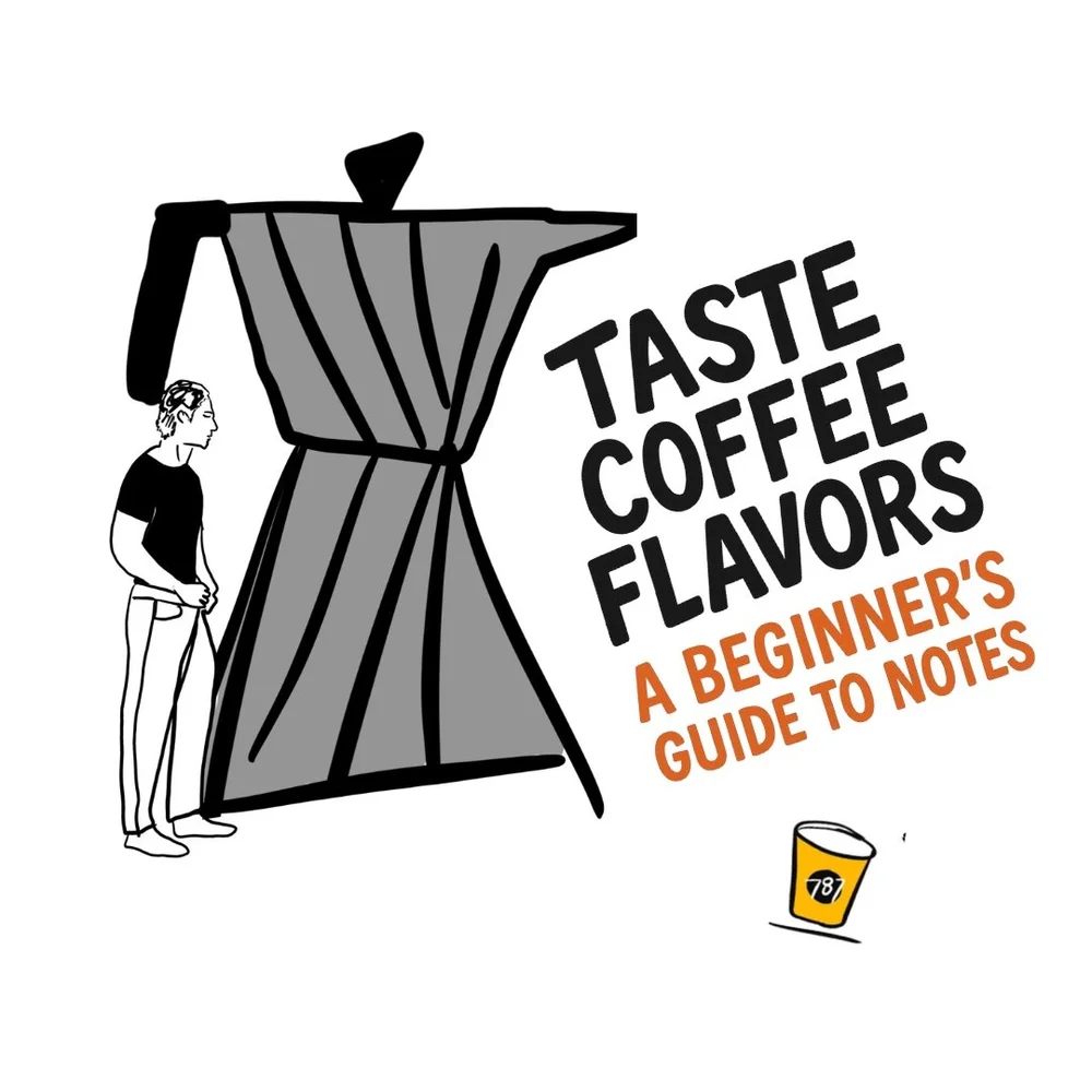 Coffee Flavor Notes Explained: How to Taste Them | 787 Coffee — 787 Coffee