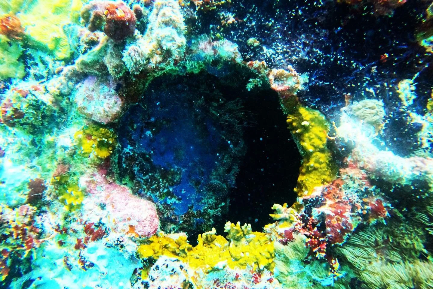 Vigilant Divers | Scuba Diving in Anguilla | Tours & Training