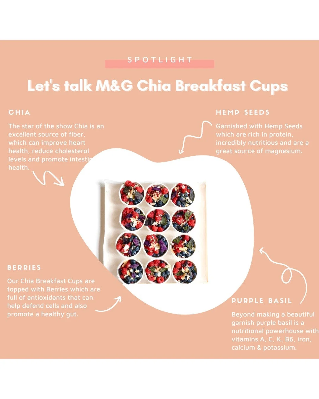 M&G Foodstuff | Corporate Catering | Drop-Off Catering | Events | NYC