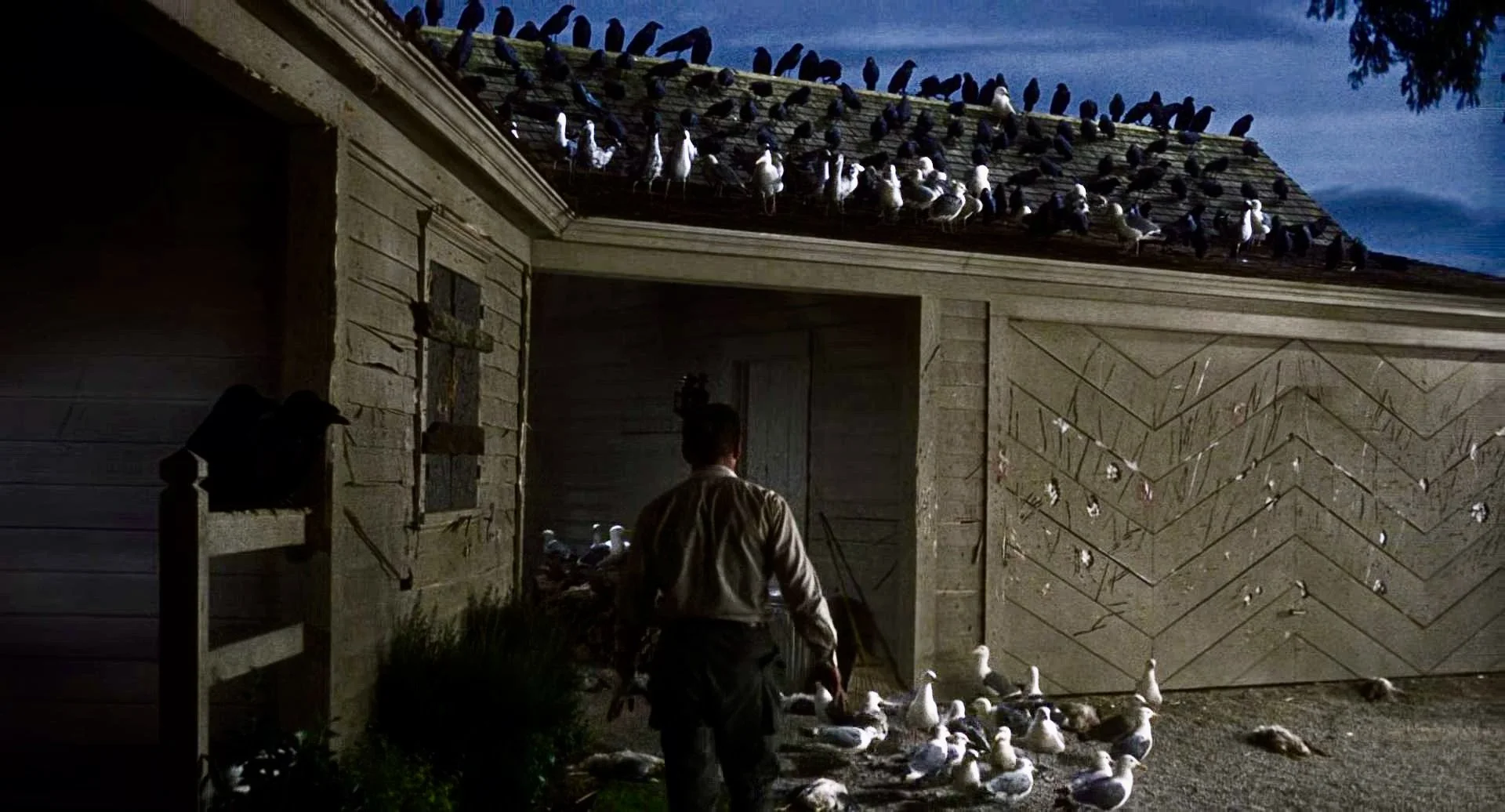 The Birds — Movies are Life