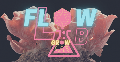 GROW LAB — Consciousness Optimization Lab